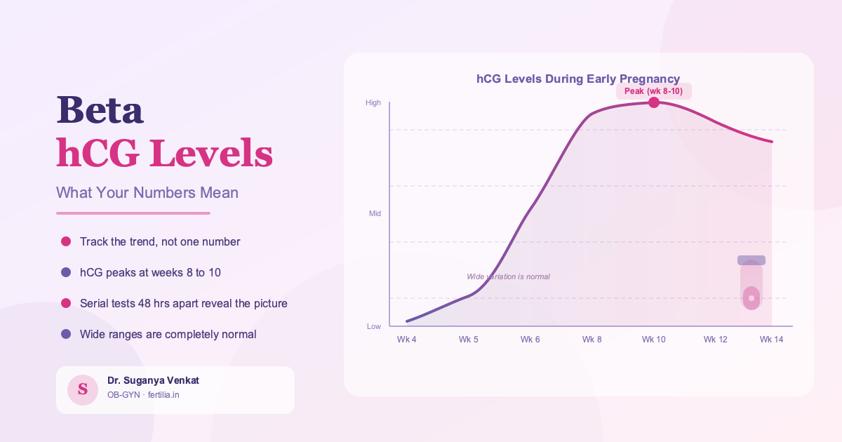 Beta hCG Levels by Week: What Your Result Means | Fertilia